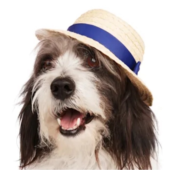 Youly | Dog | Nwt Youly Straw Dog Hat Sm | Poshmark